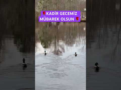 🔥KADİR GECESİ MESAJLARI !! KADİR GECENİZ MÜBAREK OLSUN #kadirgecesimesajları #youtube #keşfet #dua
