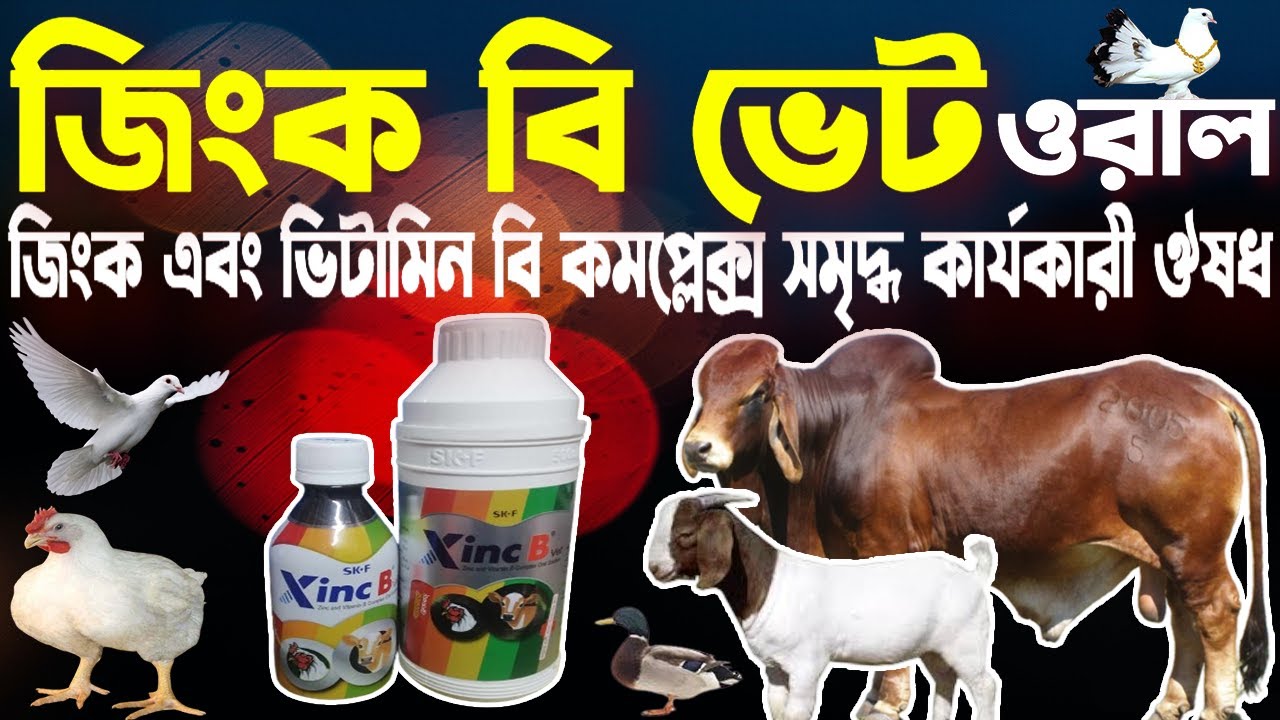 Xinc B Vet Syrup | জিংক বি ভেট কেনো খাওয়াবেন? | জিংক বি ভেট সম্পর্কে ...