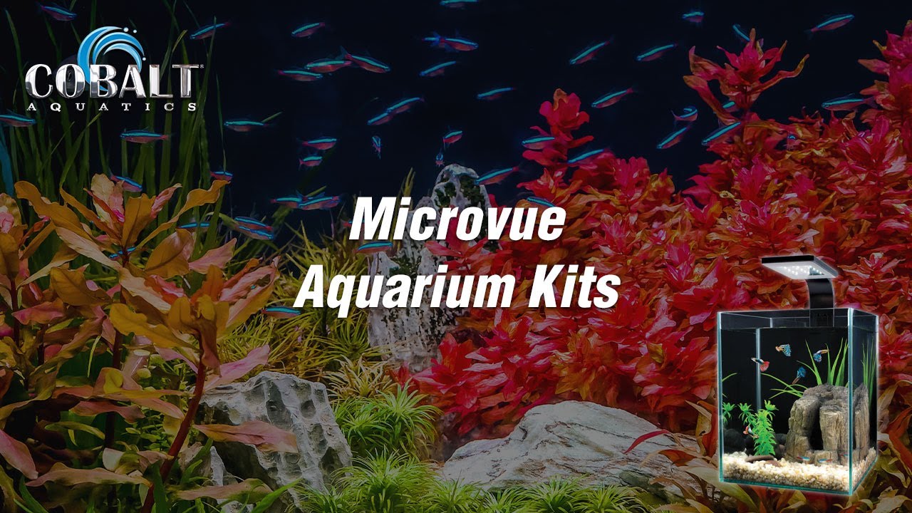 Cobalt Microvue Aquarium Kits - YouTube