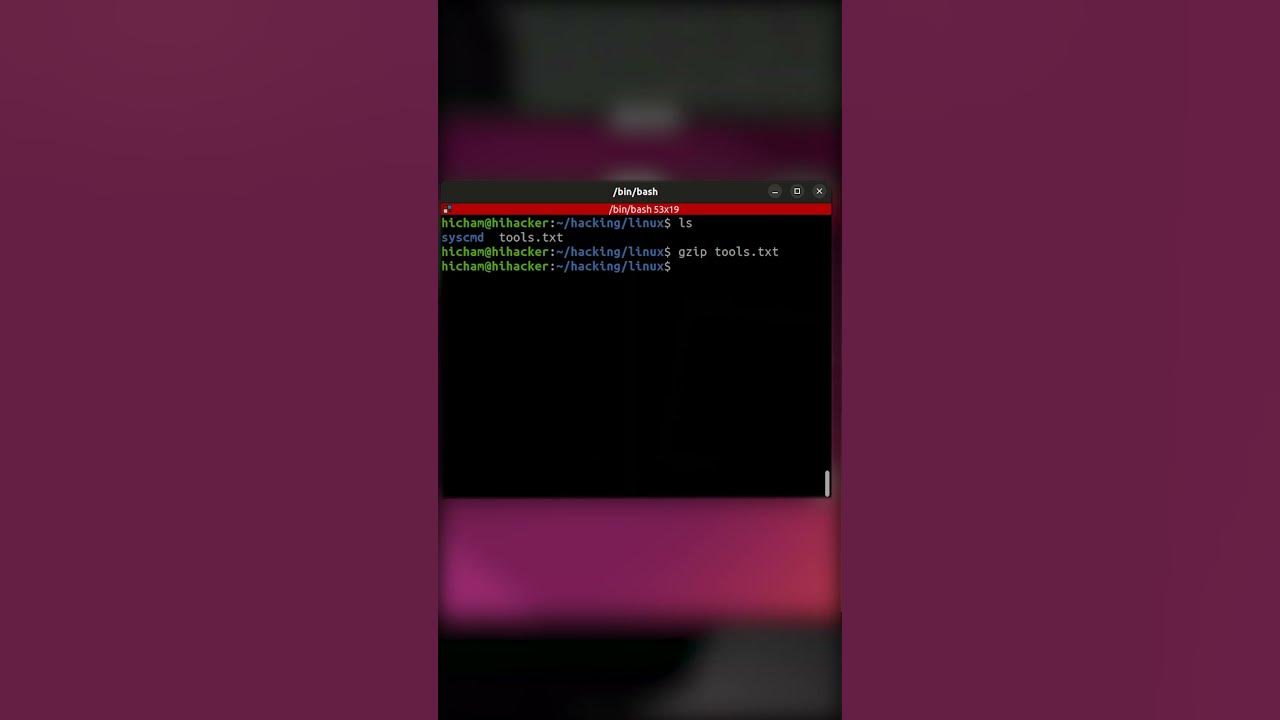 linux commands for hackers #011 - YouTube