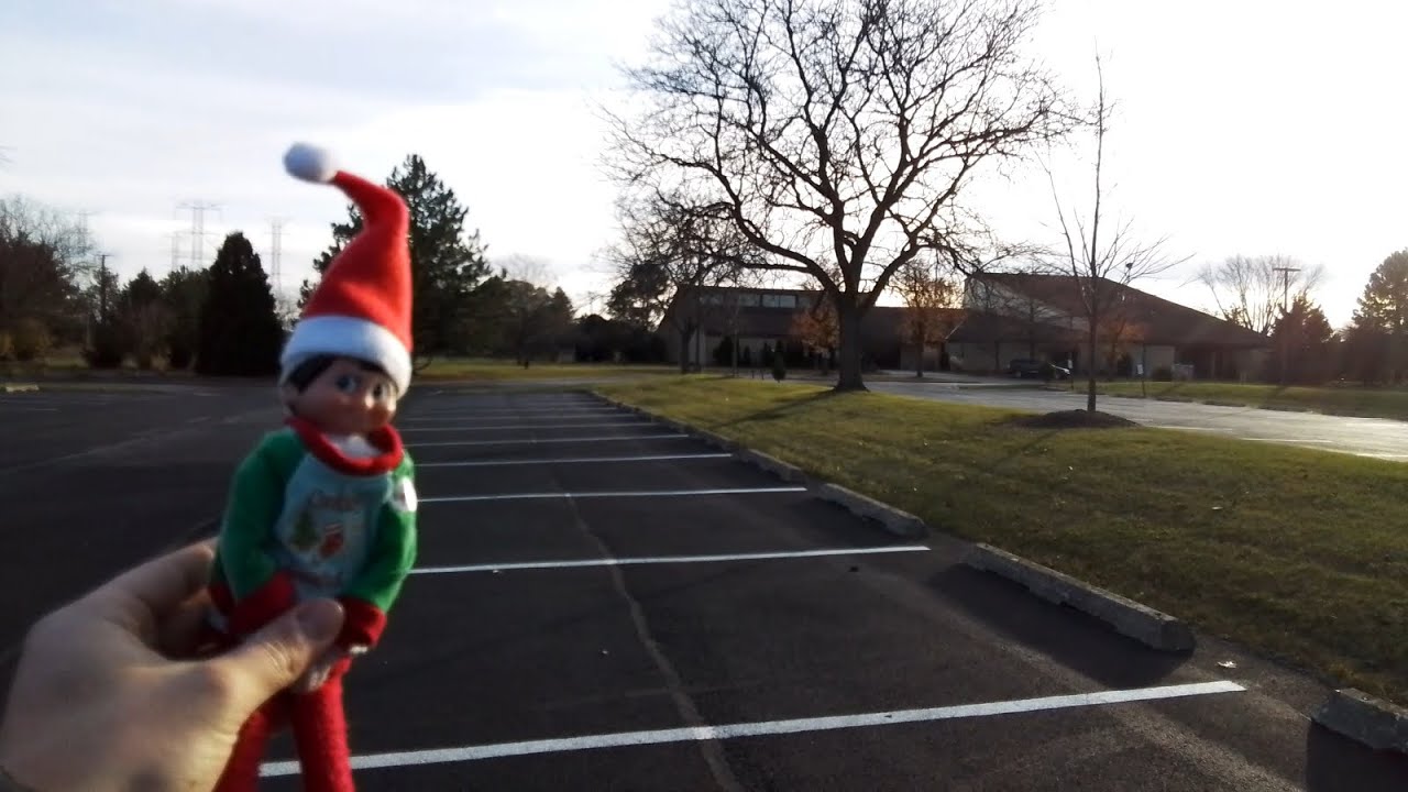 Chippy Is Going For A Little Morning Walk!! - YouTube