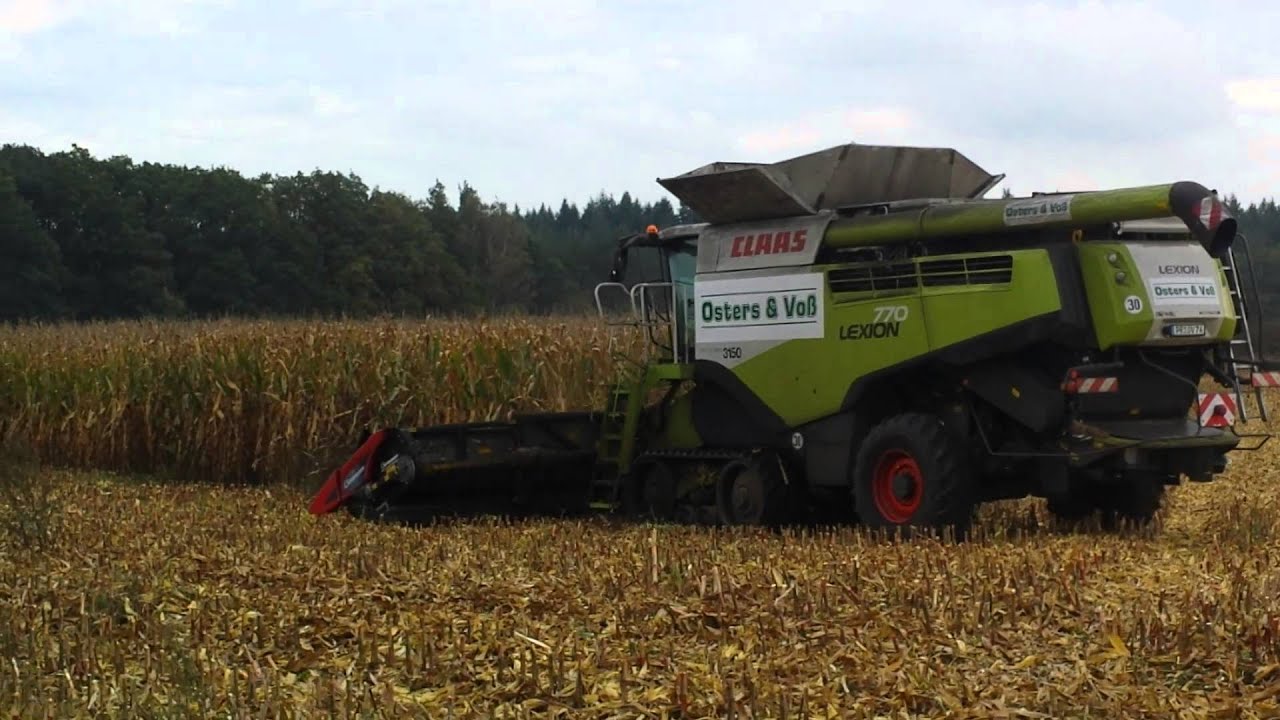 Claas Lexion 770 Harvesting Corn Youtube