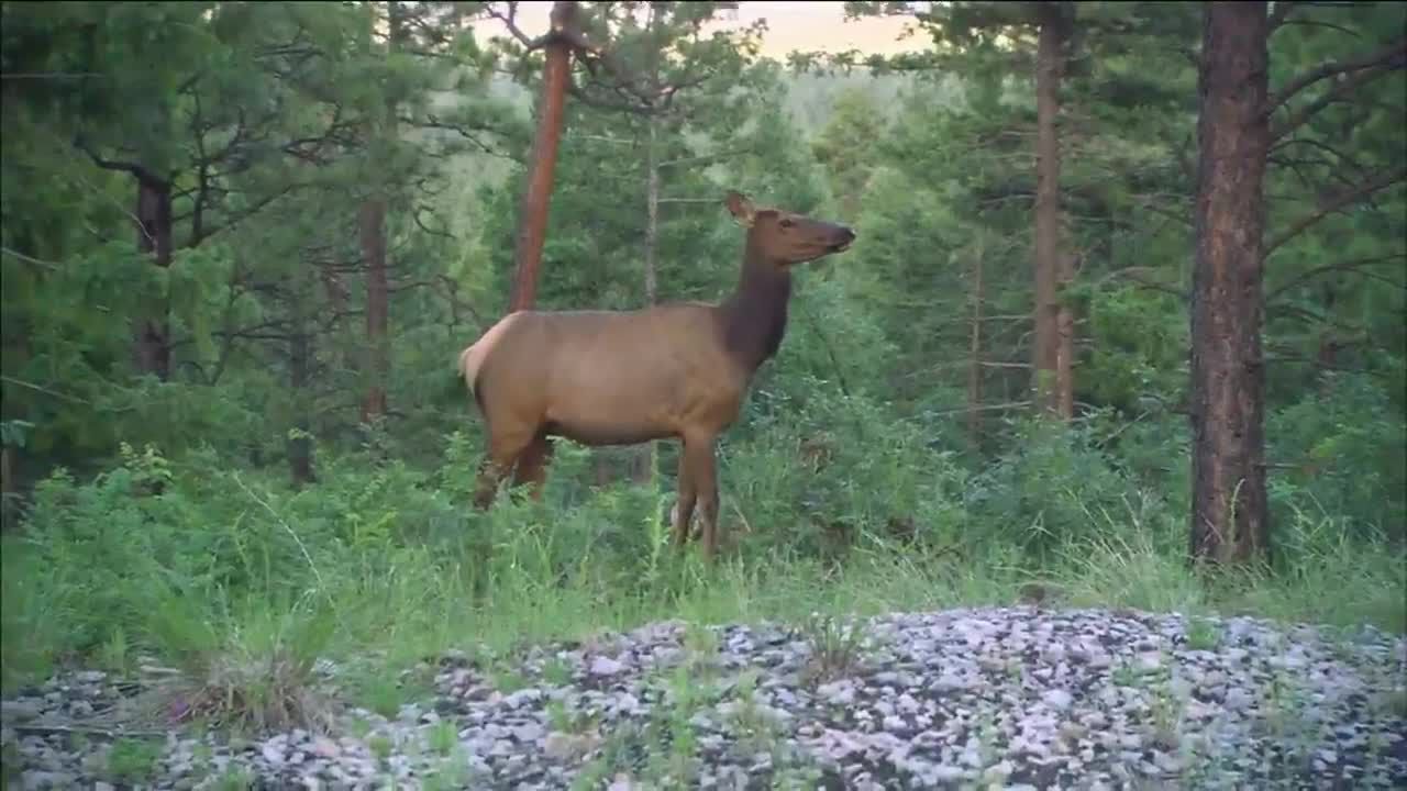 Visiting Alpine, Arizona - Part 3 - YouTube