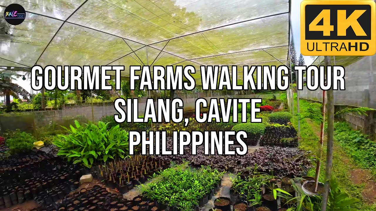 Gourmet Farms Walking Tour | Silang Cavite Philippines | June 2023 [4k ...