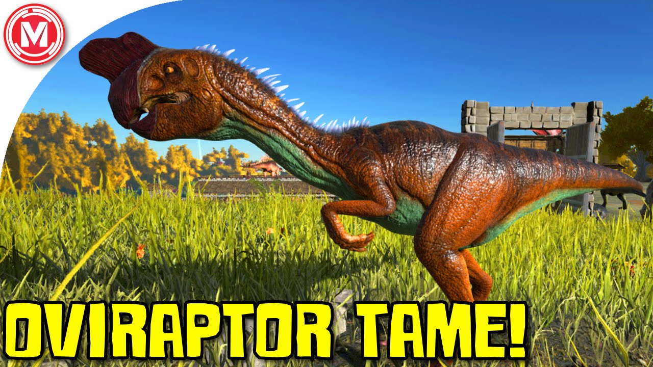 ARK: Survival Evolved - Oviraptor Taming and Ghillie Suit! (Gameplay ...
