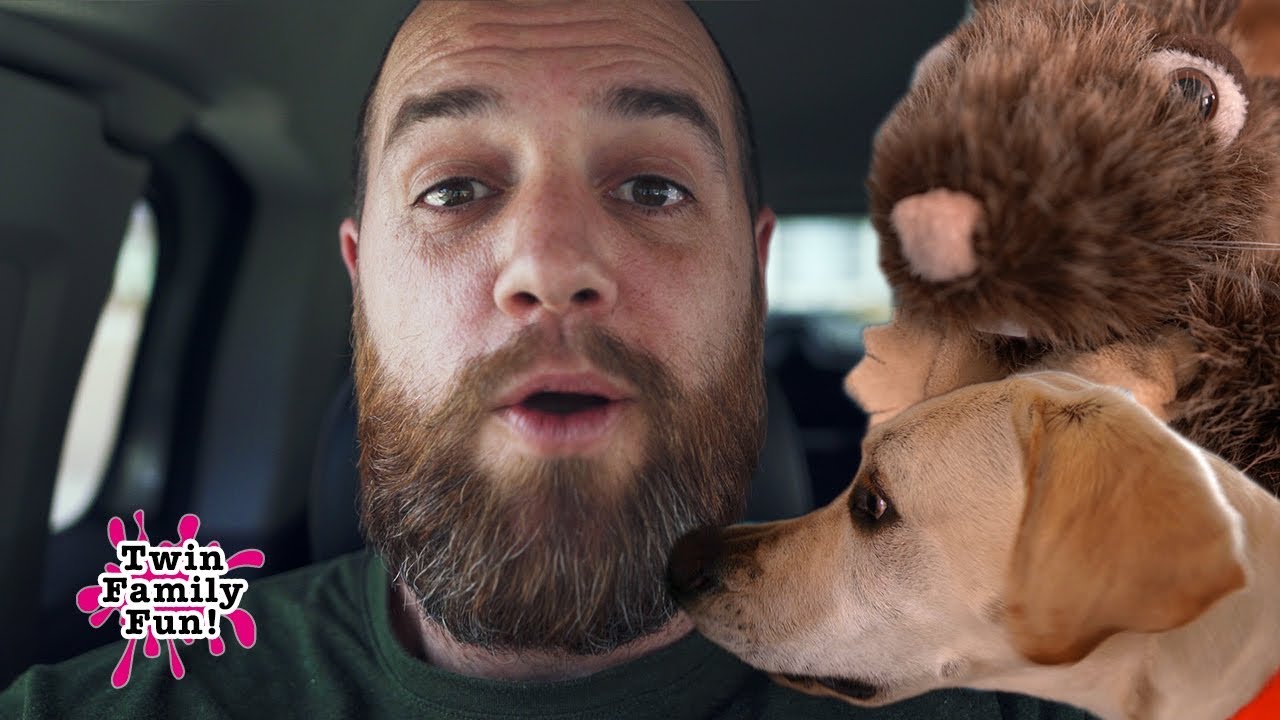 Filming with RATS and PUPPIES and stuff. - YouTube