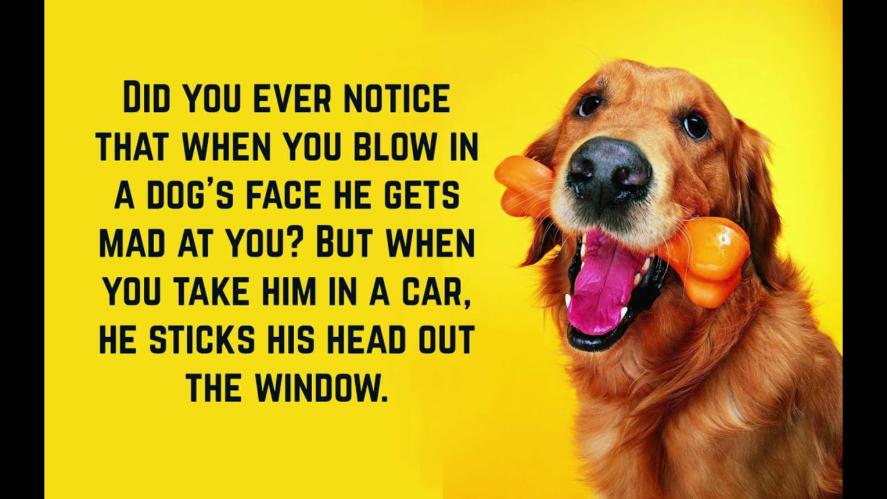 funny sayings and quotes - YouTube