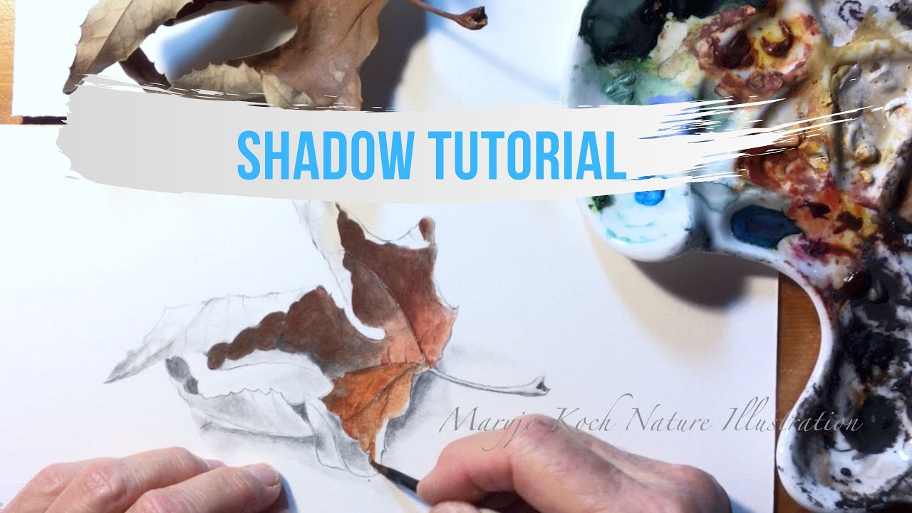 How to watercolor paint a realistic leaf using shadow with graphite ...