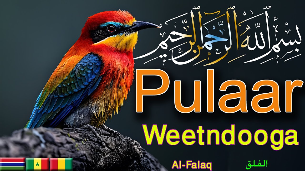 Quran translation in Pulaar,الفلق,Al Falak,Pulaar Quran, Explanation of ...