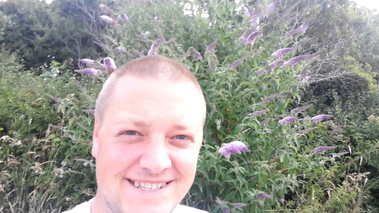 My speak Cornish week vid - YouTube