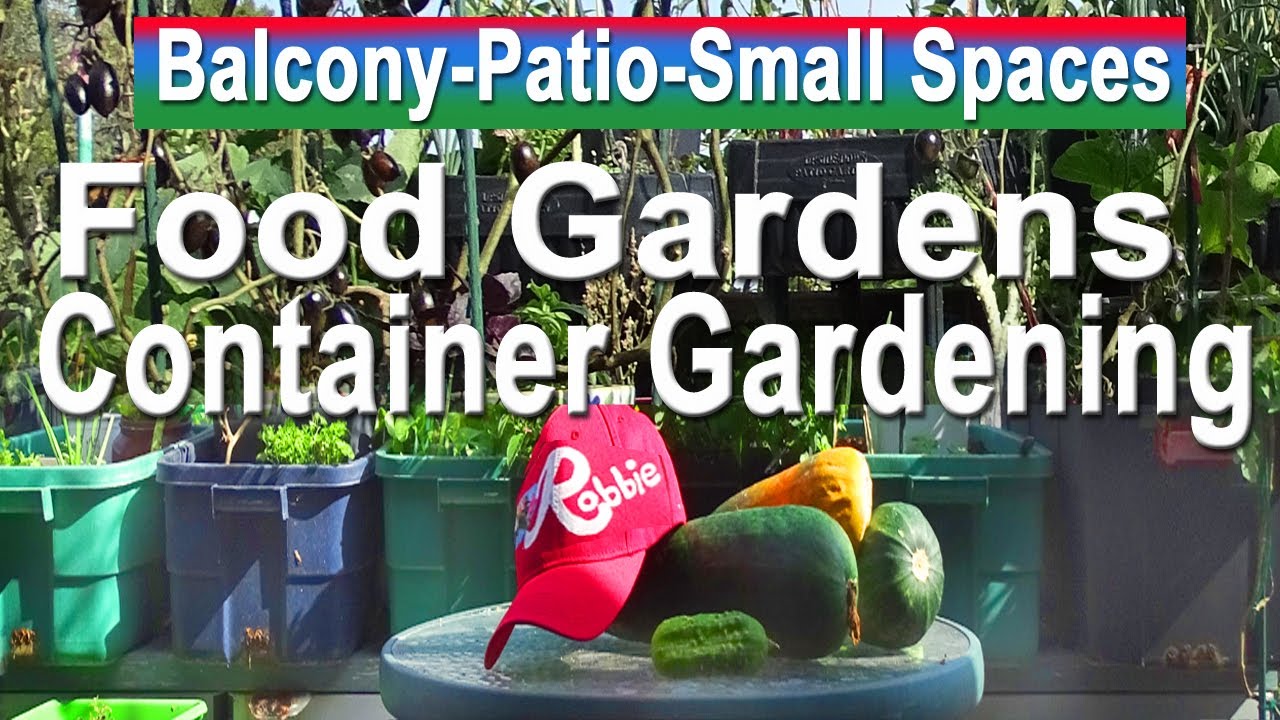 TIPS How to Grow FOOD GARDEN in Small Spaces Pot Plants in Totes ...