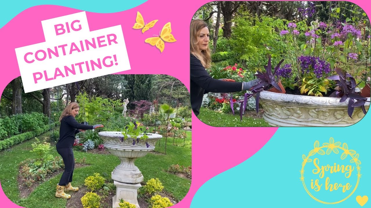 Big Pot Flower Planting: Tips for a Gorgeous Container Garden! - YouTube