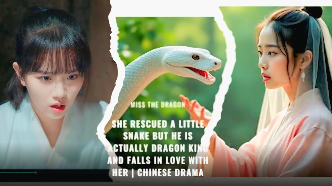 She Rescued A Little Snake But He Is Actually Dragon King And Falls In ...