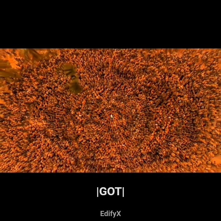 Game Of Thrones.⚔️ l|GOT|l A Goated Series.🖤🔥 #trending #viral #edit # ...