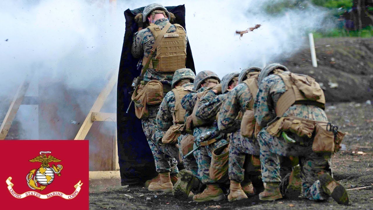 U.S. Marine Corps: intensive military training at Camp Fuji, Japan ...