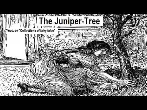 The Juniper-Tree — Jacob & Wilhelm GRIMM - YouTube