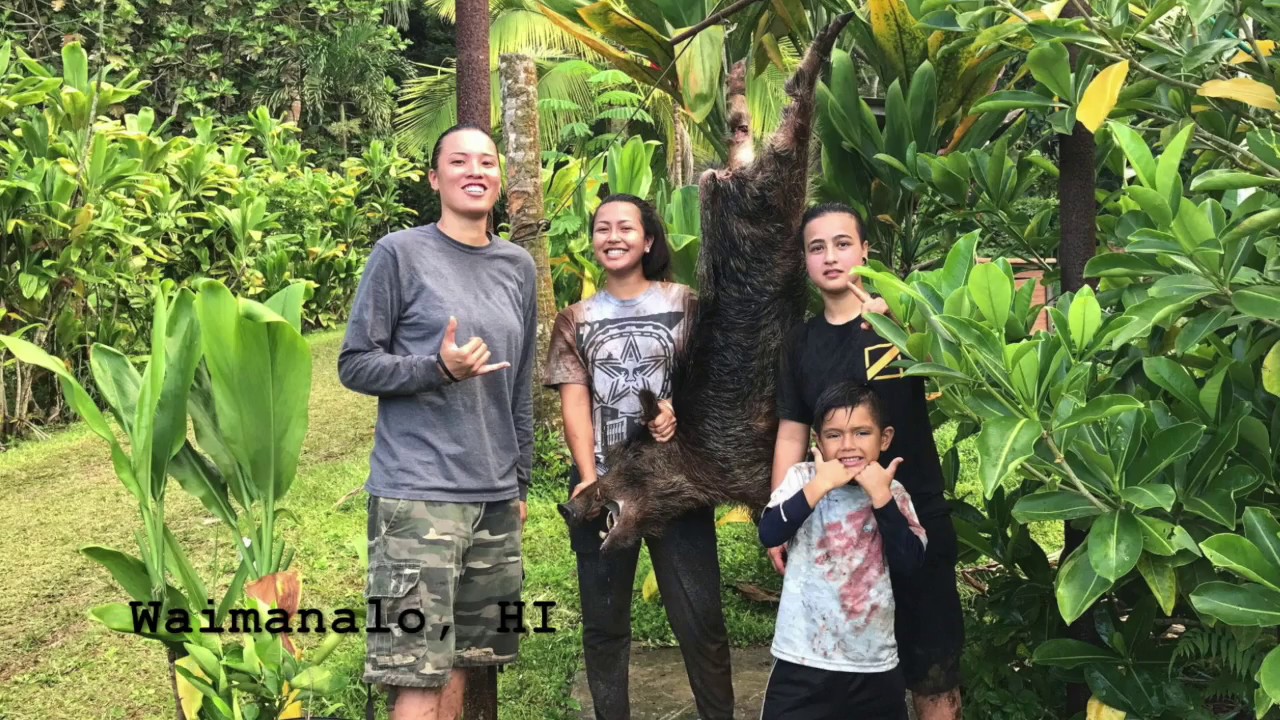 Hawaii boar hunting 2018 - YouTube