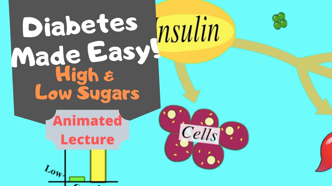 HYPER & HYPOGLYCAEMIA: Diabetes (simply) explained! - YouTube