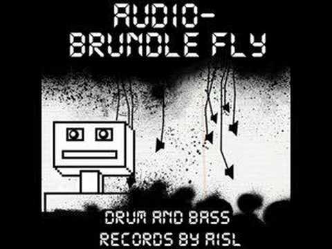 Audio - Brundle Fly - YouTube