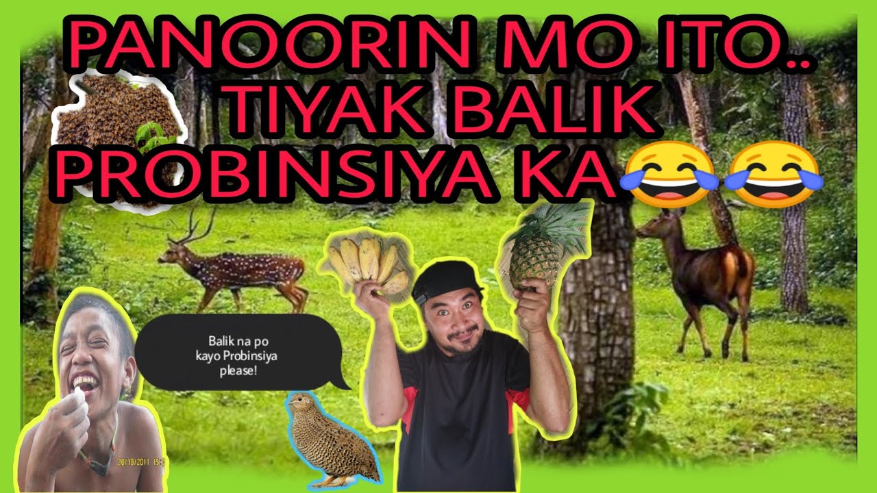 BALIK PROBINSIYA PROGRAM: SUPER SMOOTH ANG BUHAY SA PROBINSIYA (Rural ...