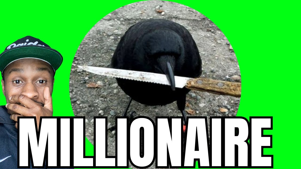 HOW TO BECOME A MILLIONAIRE WITH CROW WITH KNIFE CAW - YouTube