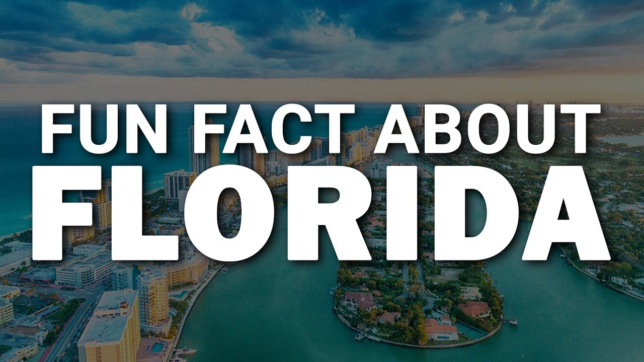 Fun Facts About FLORIDA YouTube fun-facts-about-florida-youtube