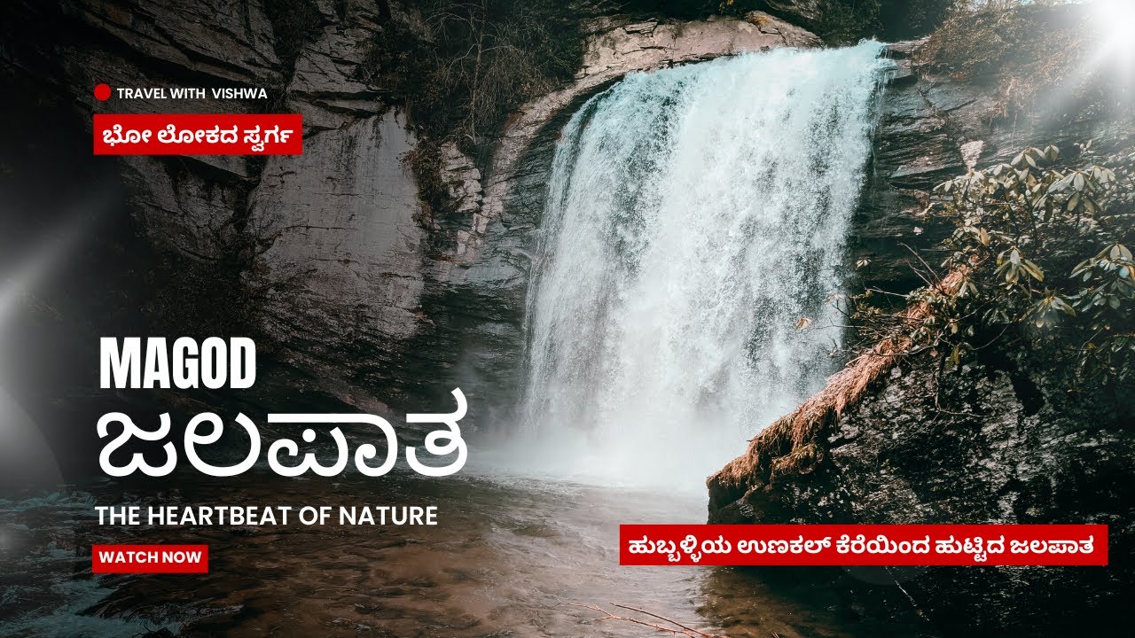 Magod Falls – Hidden Paradise in Karnataka | Majestic Waterfalls near ...