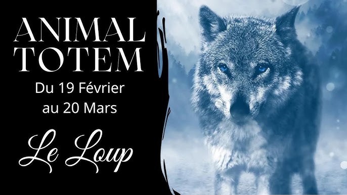 Totem Du Loup DANS L'OMBRE DU LOUP | TOTEM