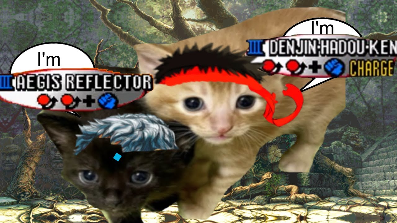 denjin is fair and honest and my source is that i'm lying - YouTube