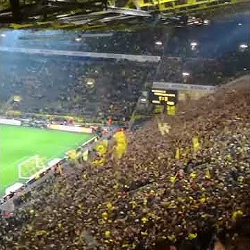 Wer nicht hüpft der ist ein Bulle! | BVB - Dosen - YouTube