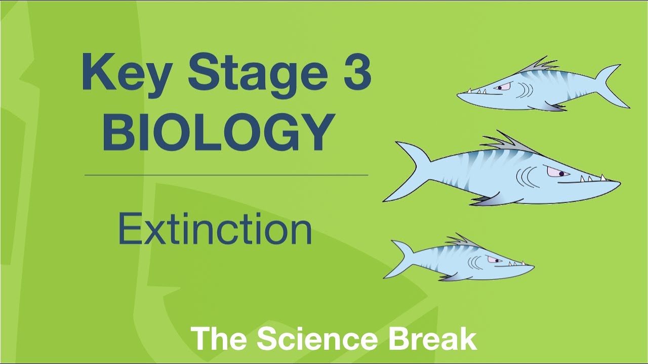 Key Stage 3 Science (Biology) - Extinction - YouTube