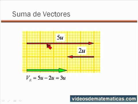 04 Suma de vectores en la misma direccion y sentido contrario.mp4 - YouTube