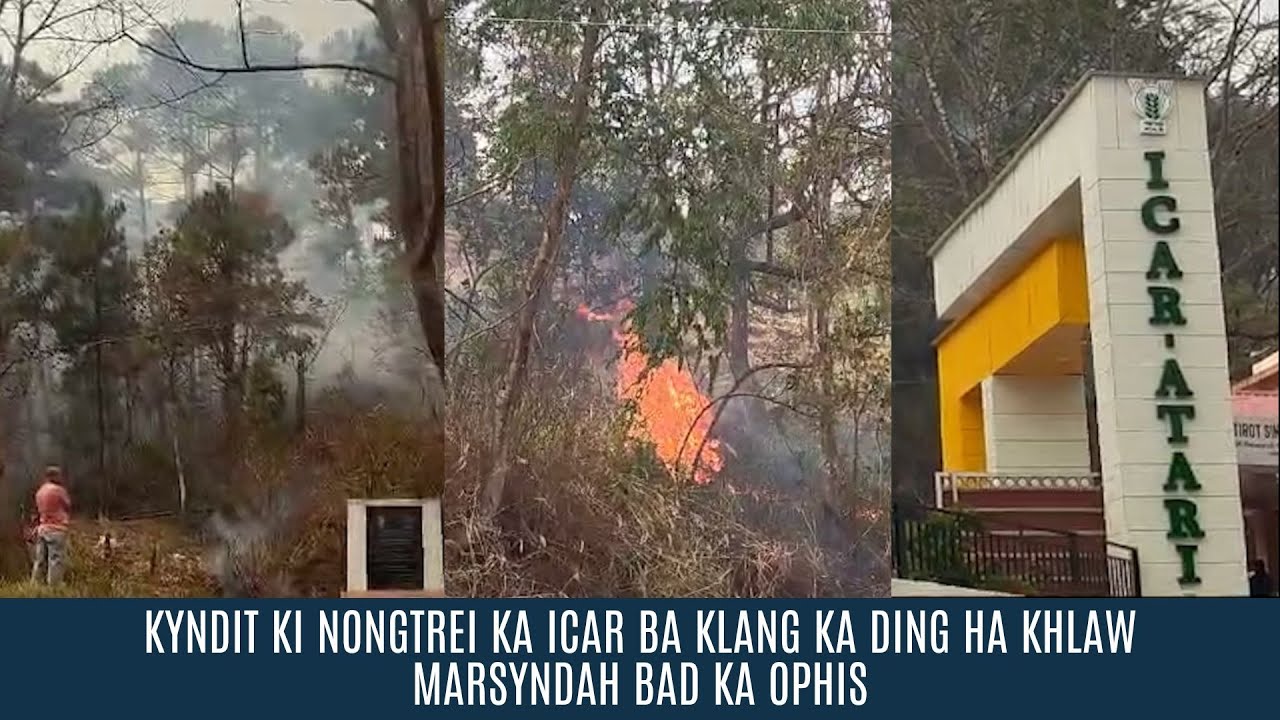 KYNDIT KI NONGTREI KA ICAR BA KLANG KA DING HA KHLAW MARSYNDAH BAD KA ...