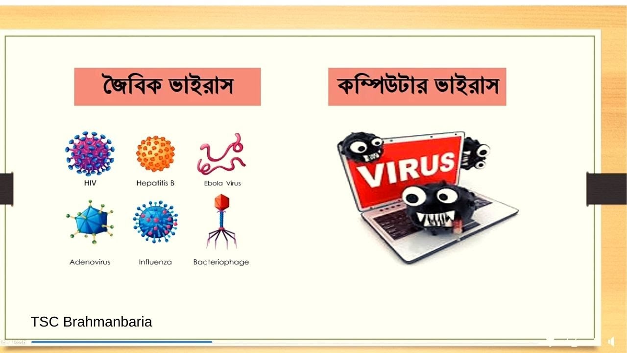 What is a computer virus, How computer virus work? Protect your ...