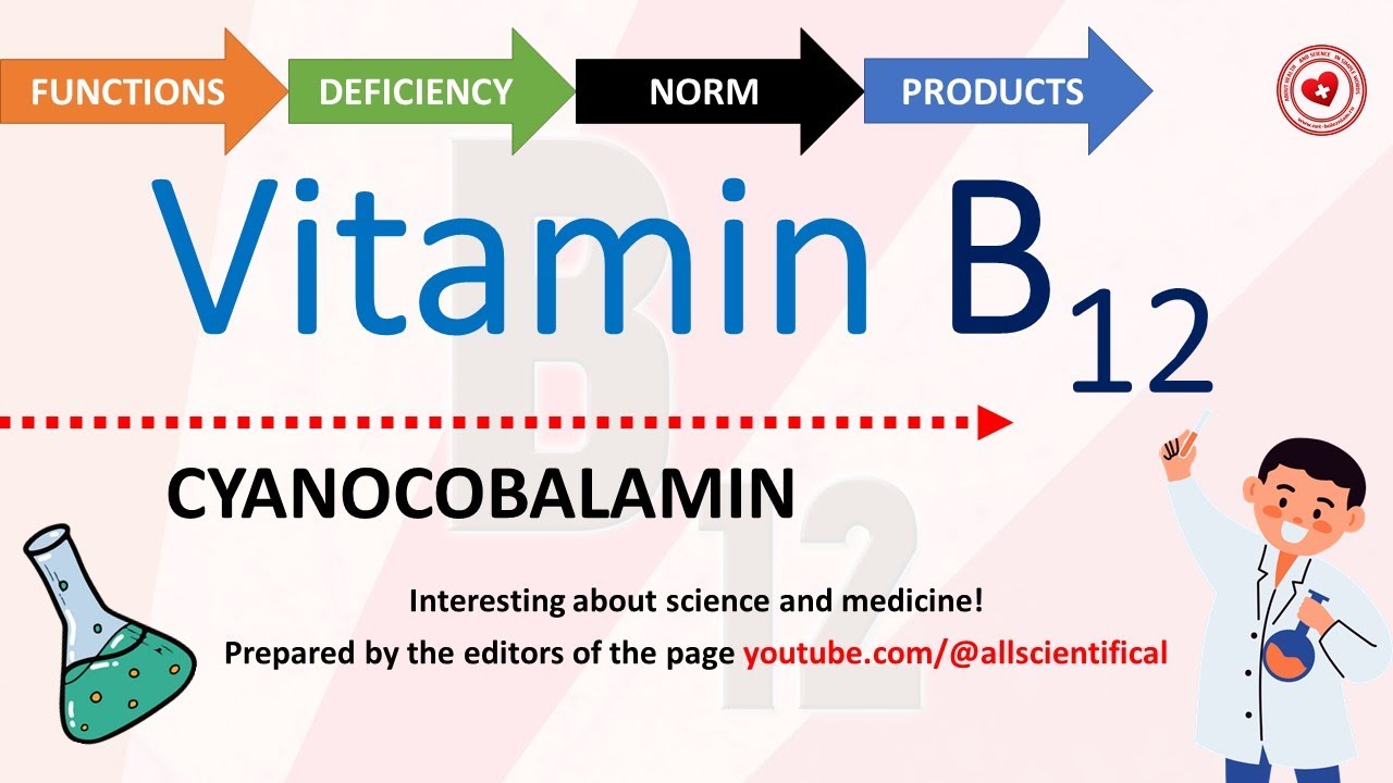 Vitamin B12 (cyanocobalamin): functions, hypovitaminosis, norm and food ...
