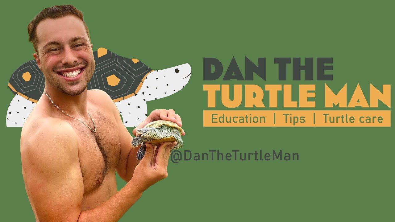 Dan the Turtle Man Talks Diamondback Terrapins! - YouTube