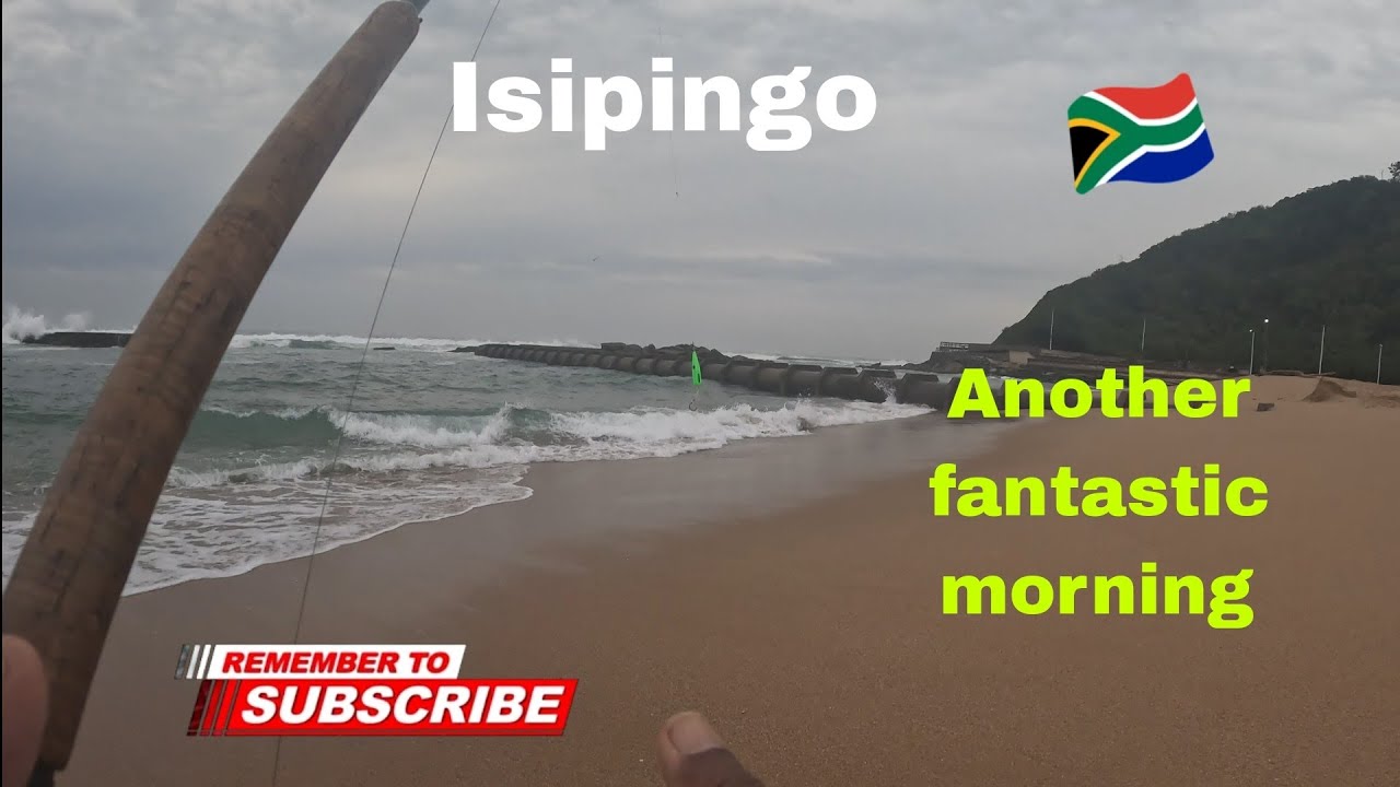 OFFROAD4LIFE, Fishing in Isipingo for Garrick and Shad, catch and ...