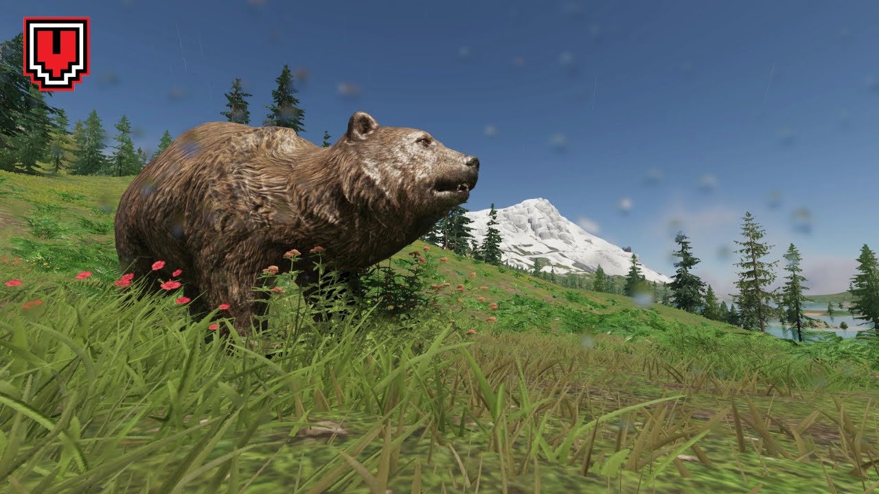 THE CREW 2: Bear With Me // Wildlife photo location - YouTube