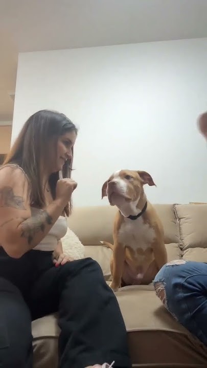 Pitbull Life Matters - YouTube