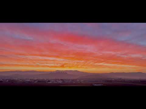 Ahmet Erhan - Göçmen Çiçek