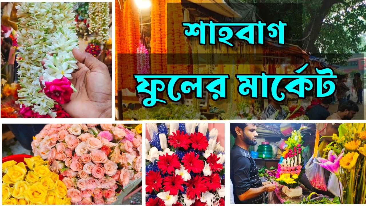 শাহবাগ ফুলমার্কেট ব্লগ 💐 Shahbag flower market vlog #flower #vlog - YouTube