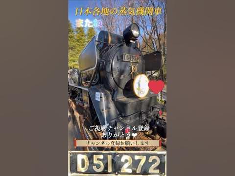 【SL】貴重「門デフ」を装備した珍しいD51-272 +車掌車ヨ14740 - YouTube