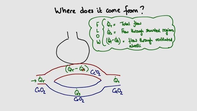 Understanding Shunt Fraction Qpqs 53 Off