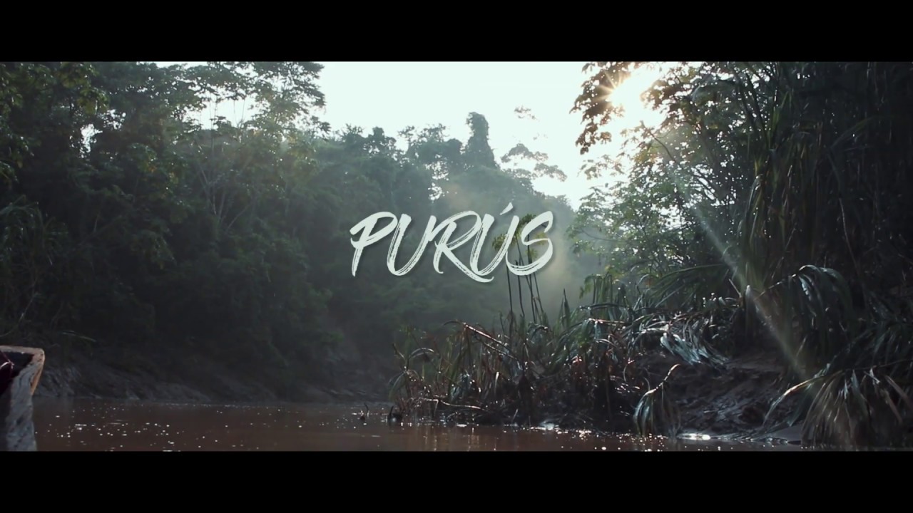 PURUS Ucayali Perú - Peruvian Amazon Jungle - YouTube