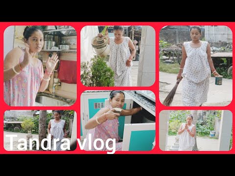 Daily Cleaning vlog ।আমি অন্নপূর্ণা নয়। নিজের জন্মদিনে ভুলে গেছি। Tandra vlog 