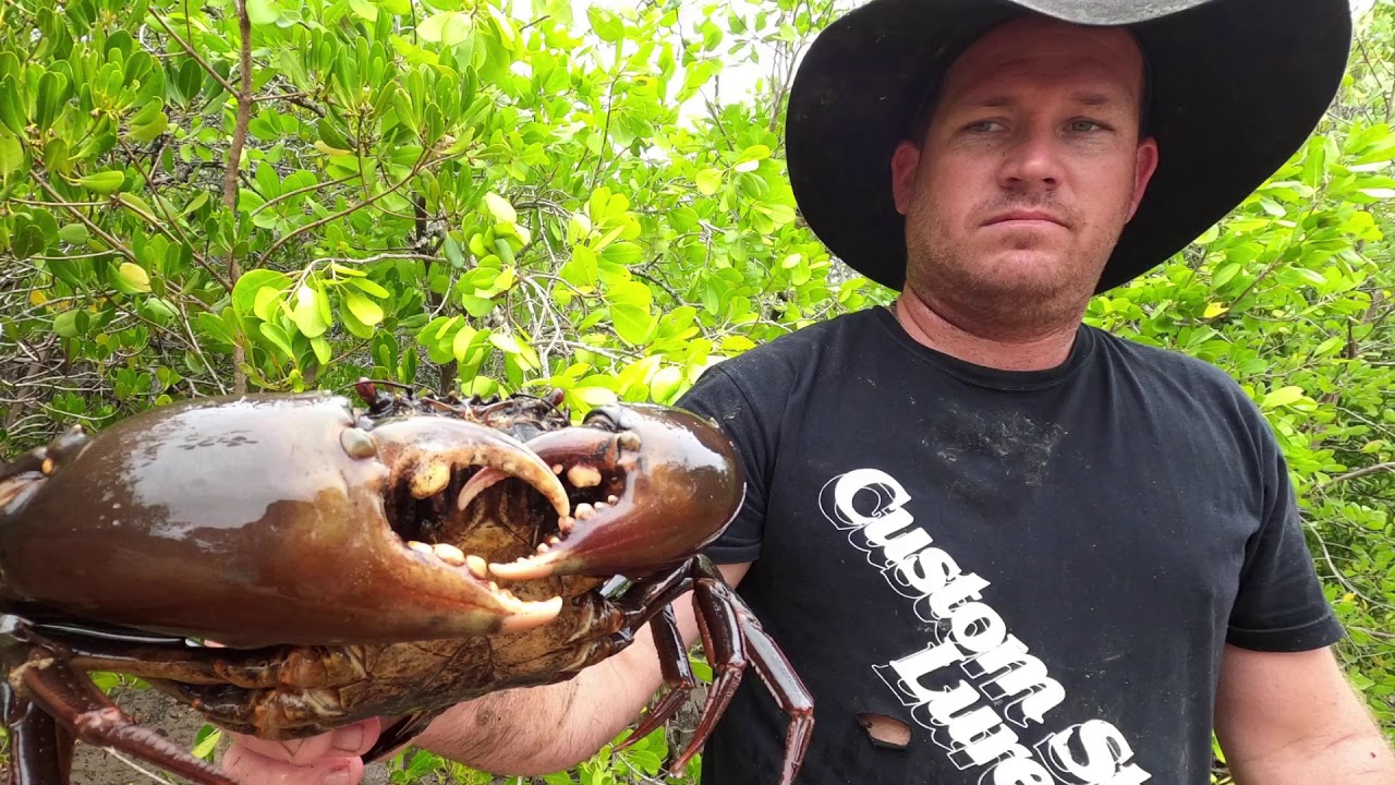 Mud Crabbing land based North Queensland part 2 - YouTube