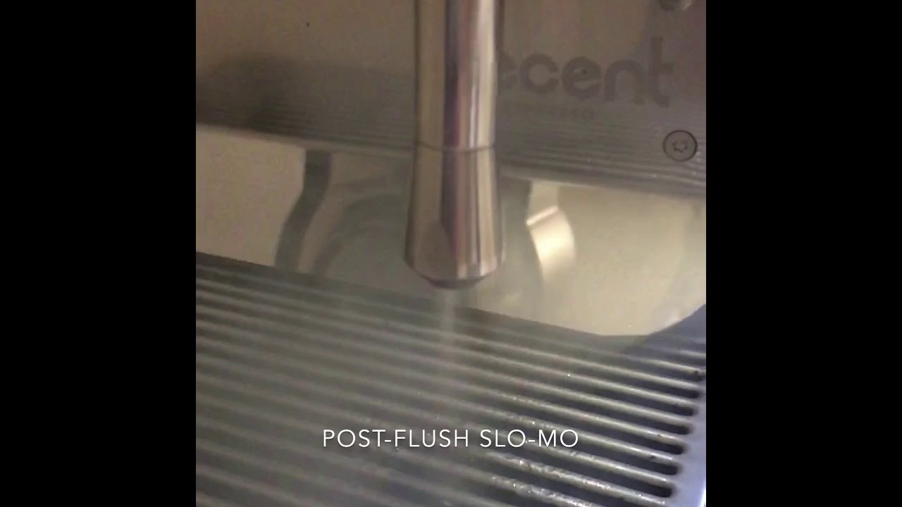 DE1PRO+ Steam flush test - YouTube