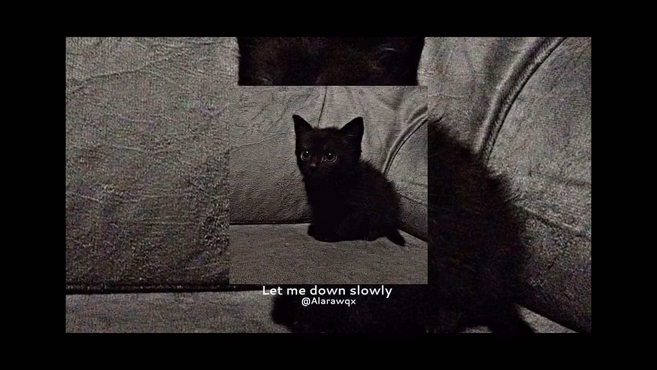 {𝚜𝚕𝚘𝚠𝚢} 𝕝𝕖𝕥 𝕞𝕖 𝕕𝕠𝕨𝕟 𝕤𝕝𝕠𝕨𝕪 {𝚜𝚕0𝚠𝚢} - YouTube