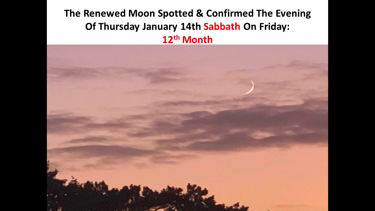 The Renewed Moon Spotted & Confirmed The Evening Of Thursday January ...