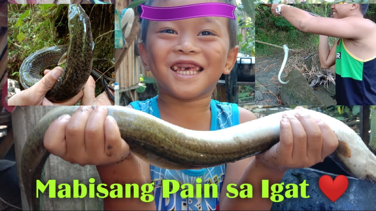 PART 2::TRADITIONAL FISHING|Catching Eel Using FISH HOOK (Fresh water ...